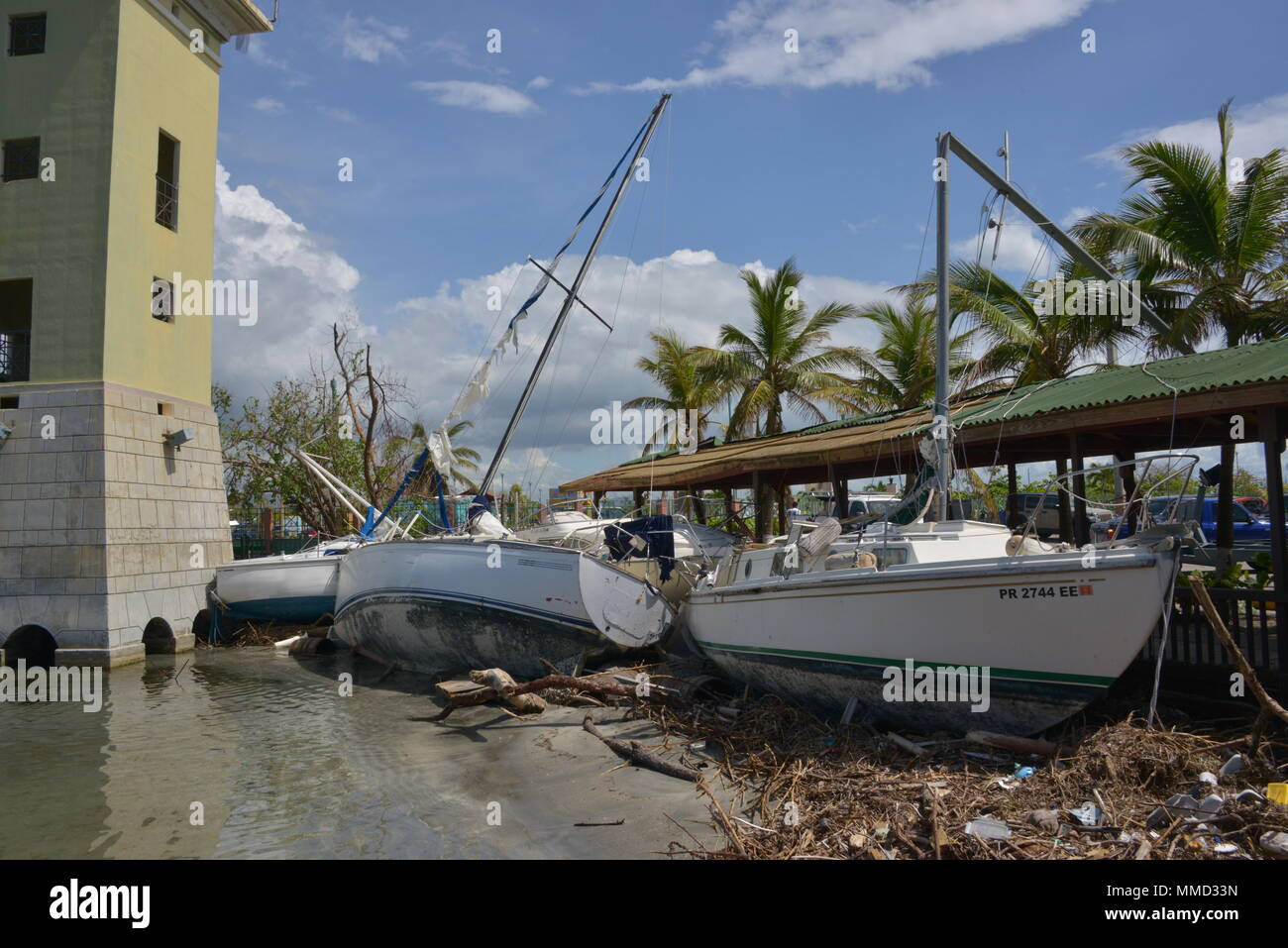Sailboats sit grounded in the La Guancha Marina after being damaged ...