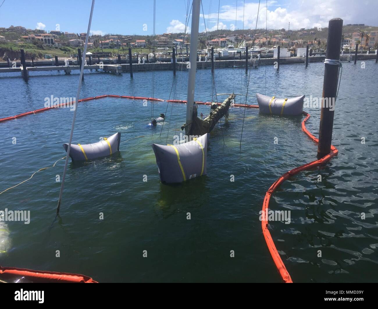 Puerto rico department of natural and environmental resources hi-res ...