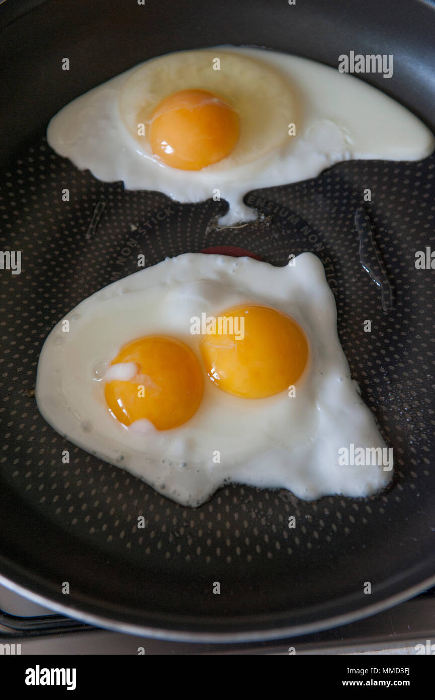 Double yolk egg Stock Photo - Alamy