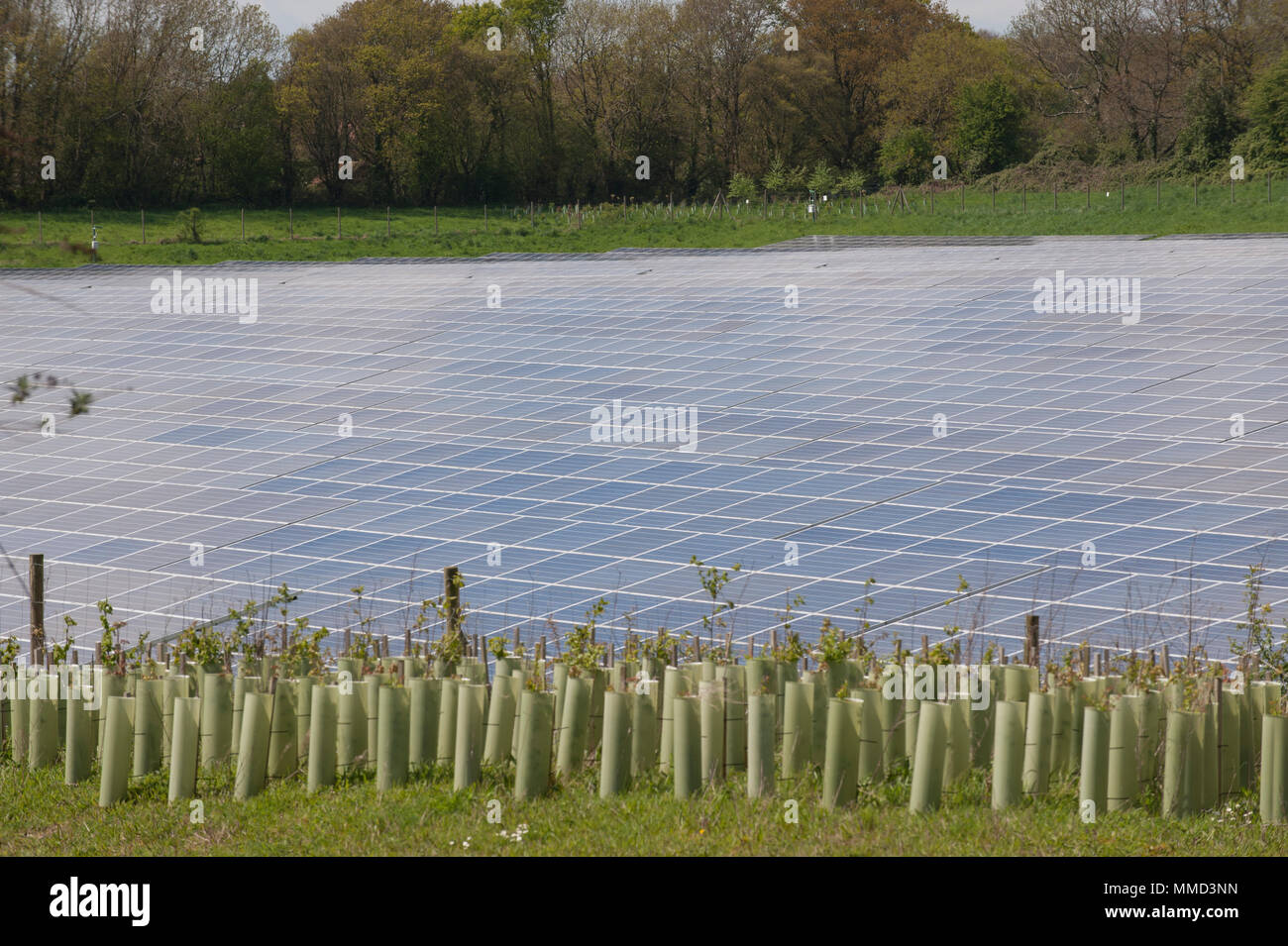 Rural Solar Farm High Resolution Stock Photography and Images - Alamy