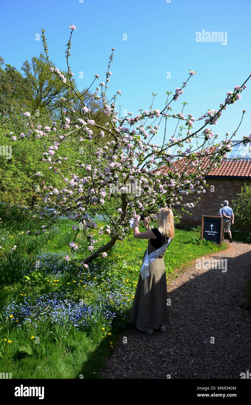 Visitors touring the gardens at Gunby Hall in Spring, Lincolnshire, UK ...