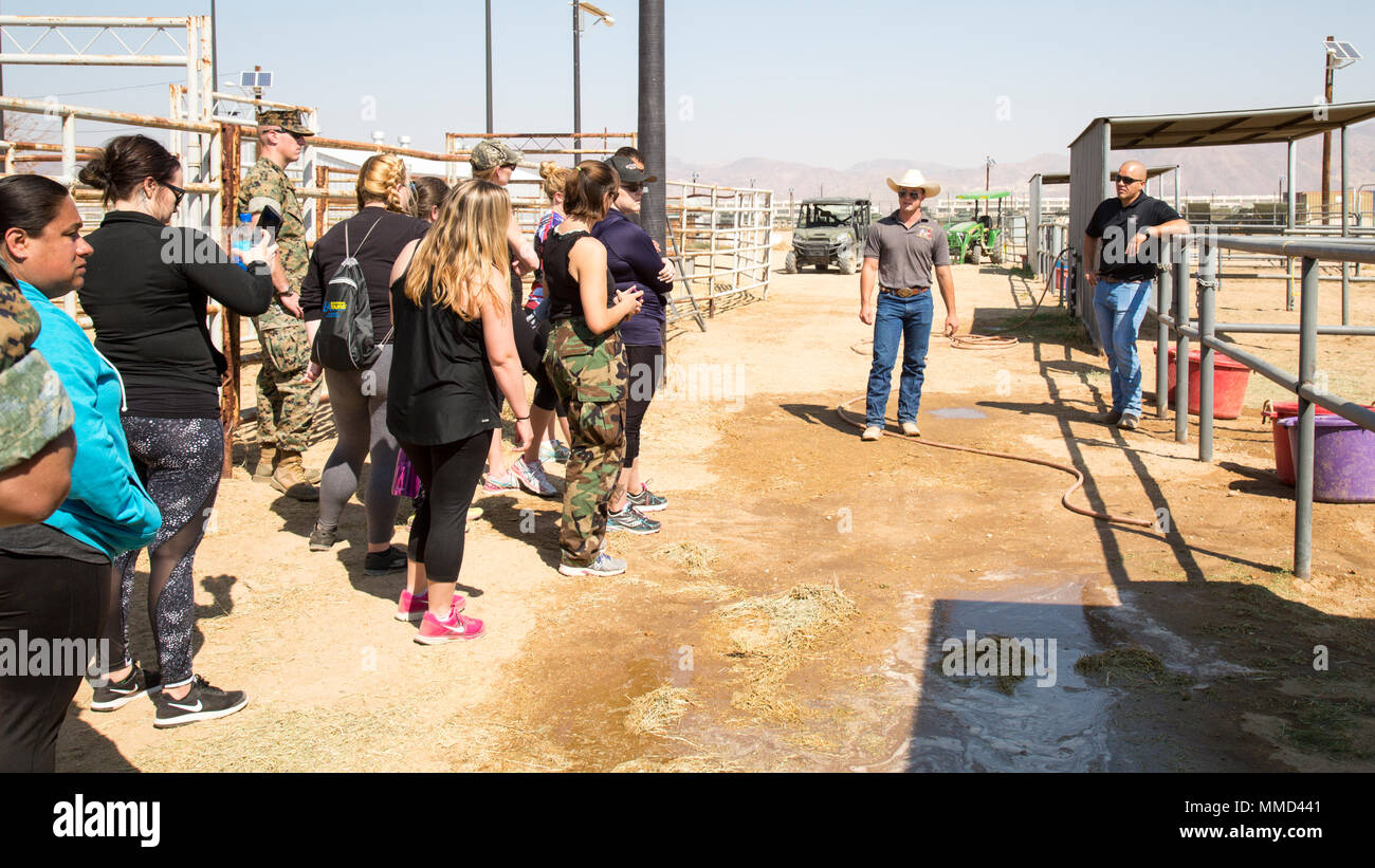 Marine stablemen hi-res stock photography and images - Alamy