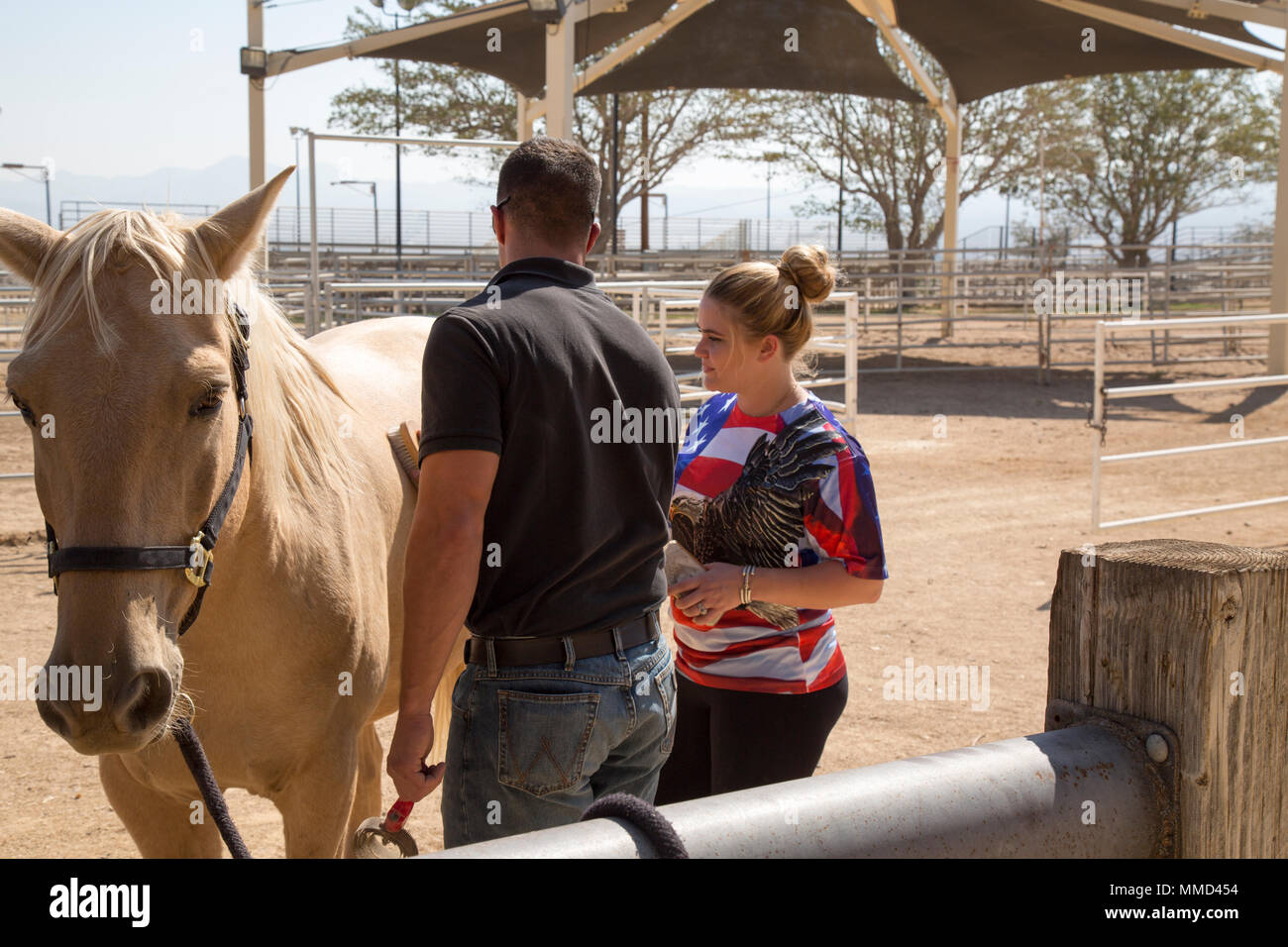 Stableman hi-res stock photography and images - Alamy