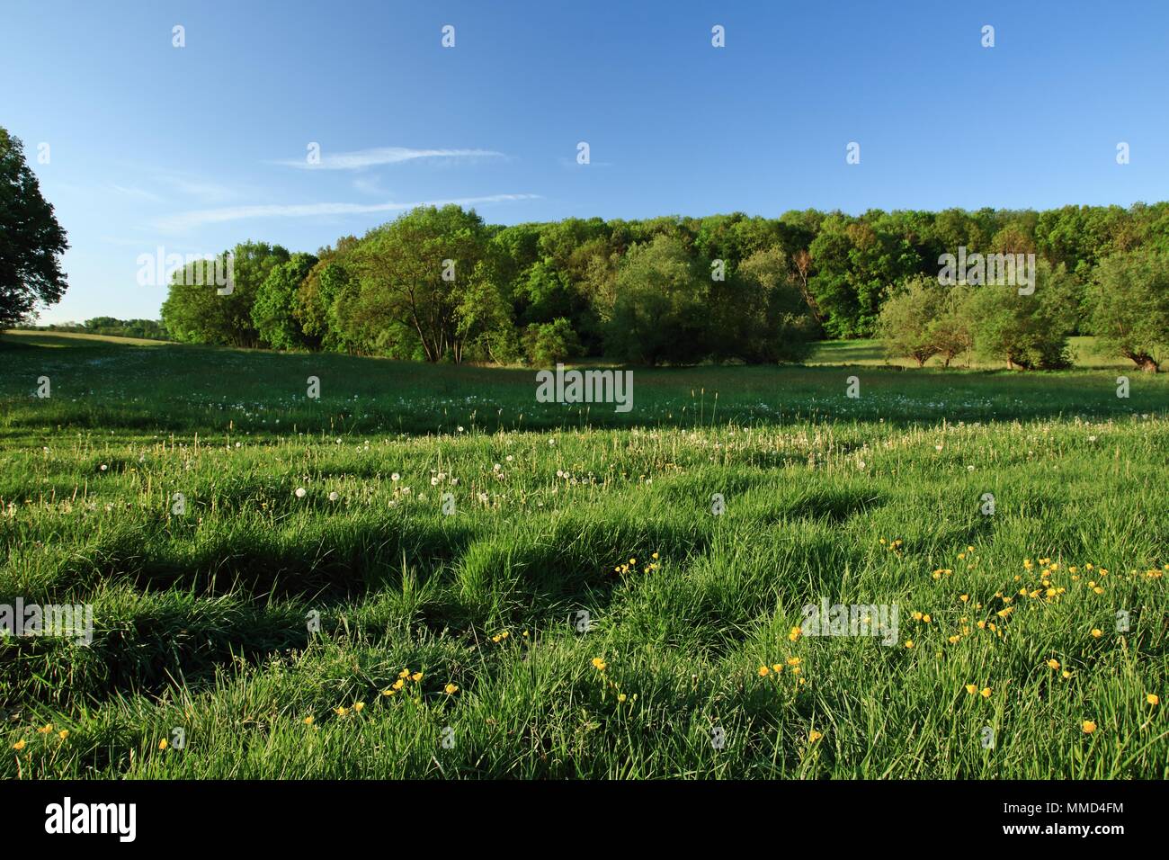Erfurt panorama hi-res stock photography and images - Alamy