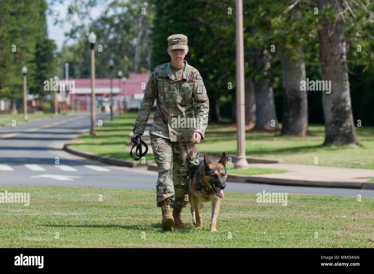 SCHOFIELD BARRACKS — Staff Sgt. Victoria Donithan, a patrol drug ...