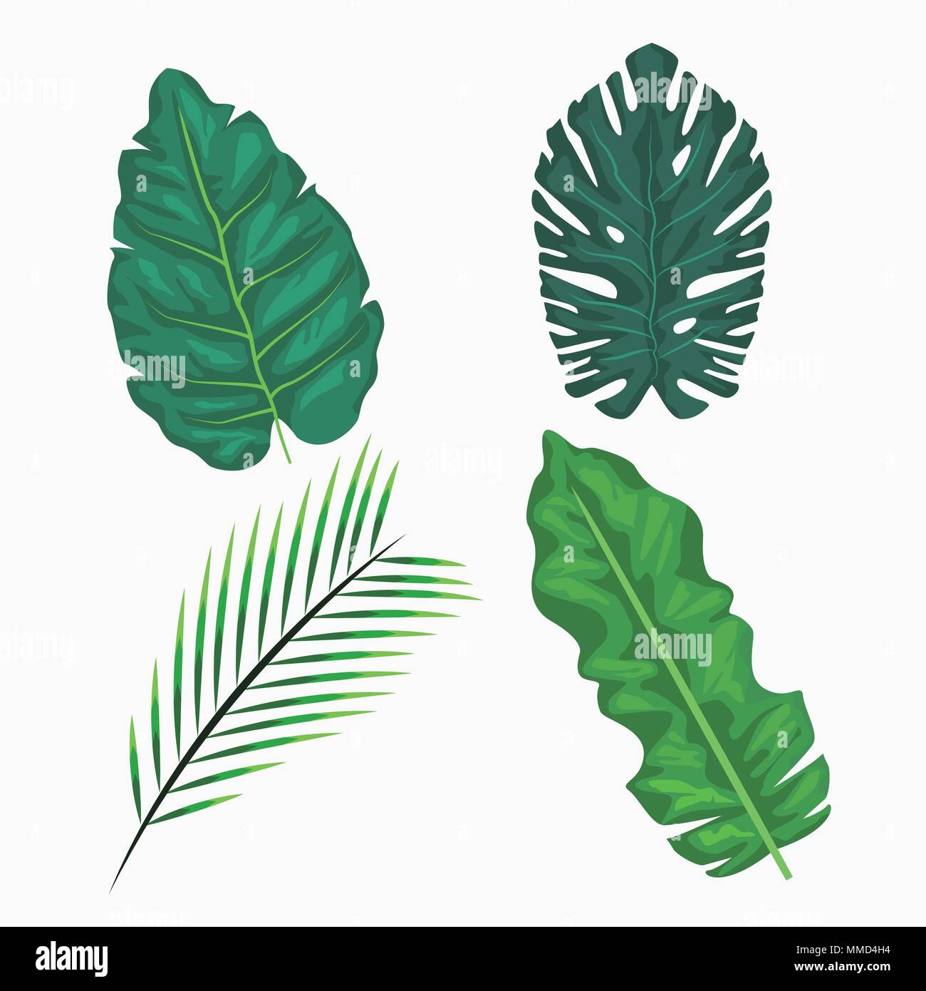 Set of leaves Stock Vector Image & Art - Alamy