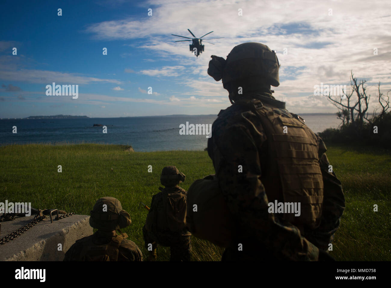 Marines with Landing Support Platoon, Combat Logistics Battalion 31 ...