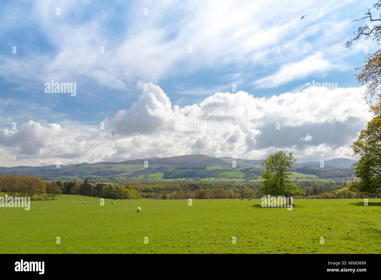Welsh landscape beauty, viewed near Penrhyn Castle, Llandygai, Bangor ...