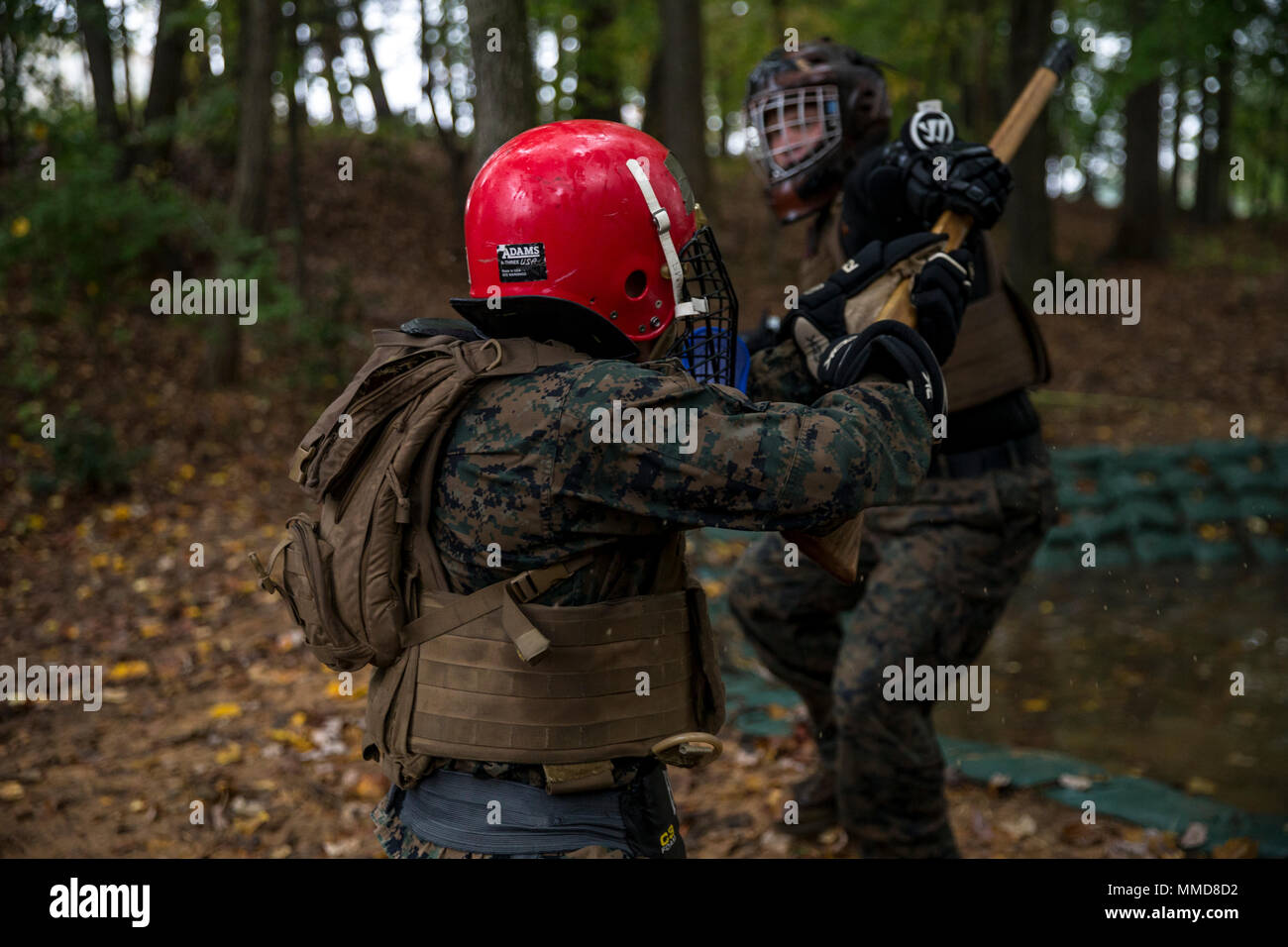 U.S. Marines with the Martial Arts Center of Excellence conduct ...