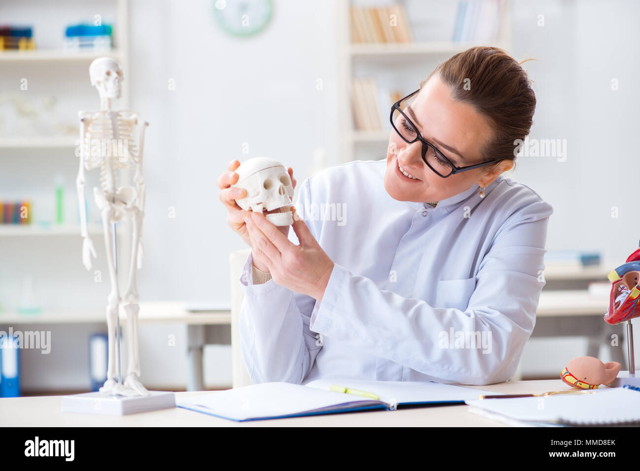 Woman doctor studying human skeleton Stock Photo - Alamy