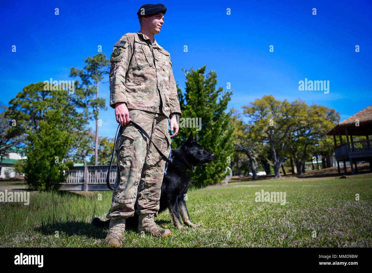 U.S. Air Force Staff Sergeant Daniel Smith and his partner, Max, are ...