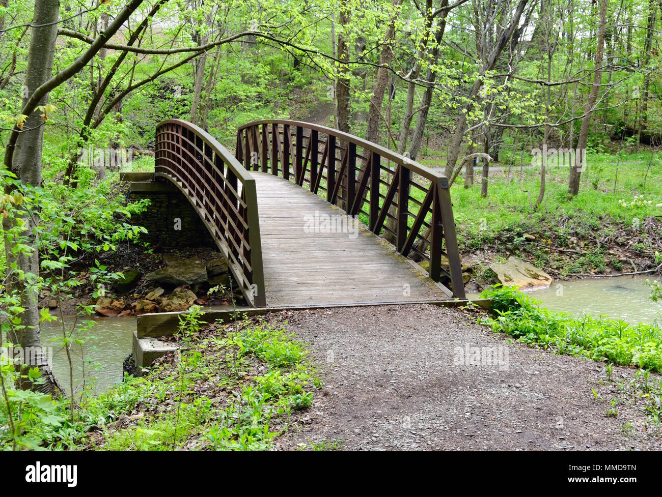 A rustic metal and wooden bridge over a creek in a forest Stock Photo ...