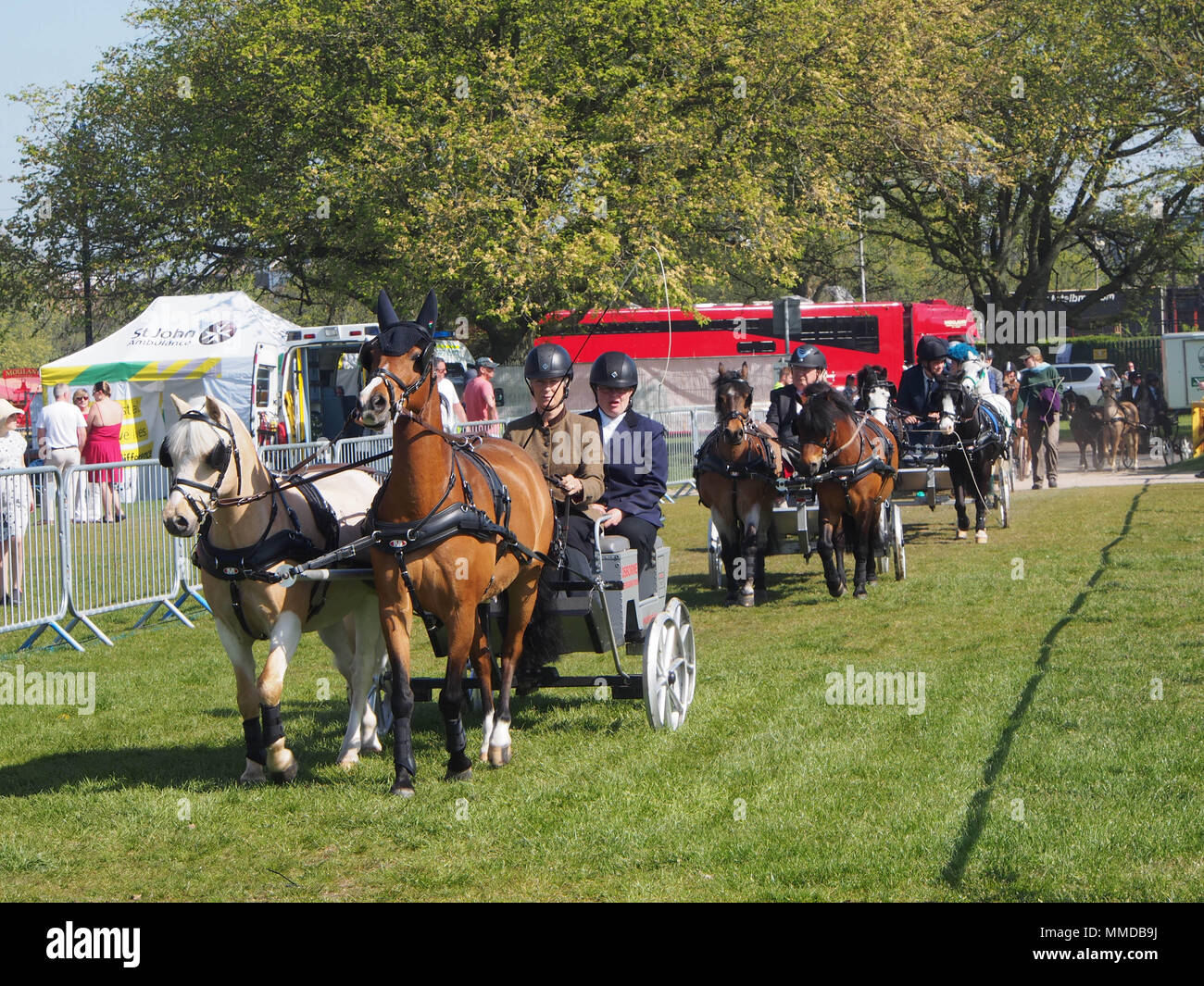 competitors take part in the Scurry driving championships at the Rural ...