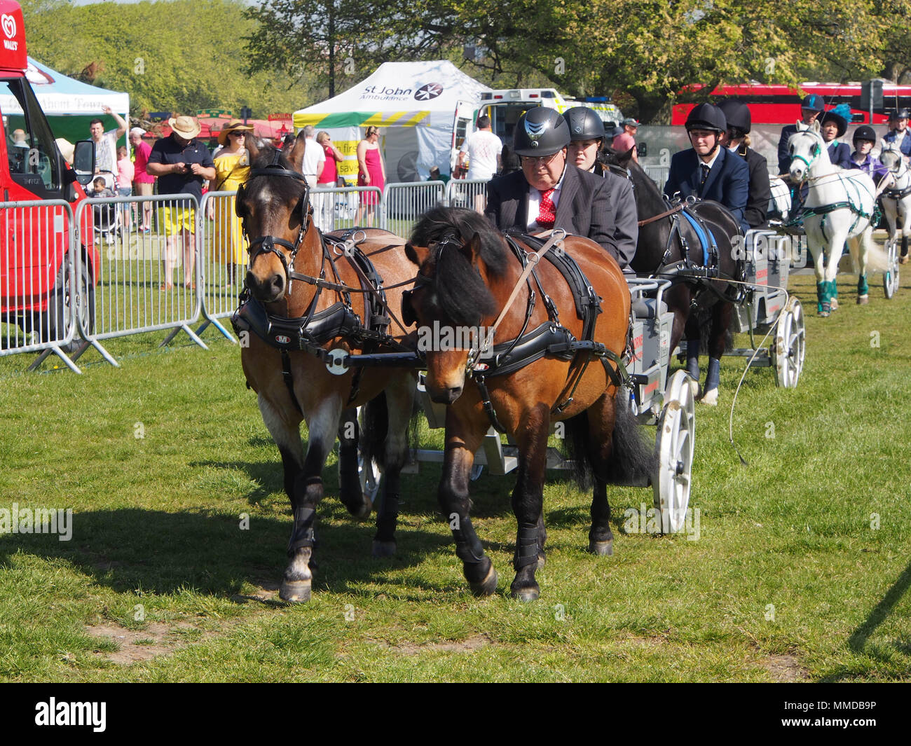 Driving pony hi-res stock photography and images - Alamy