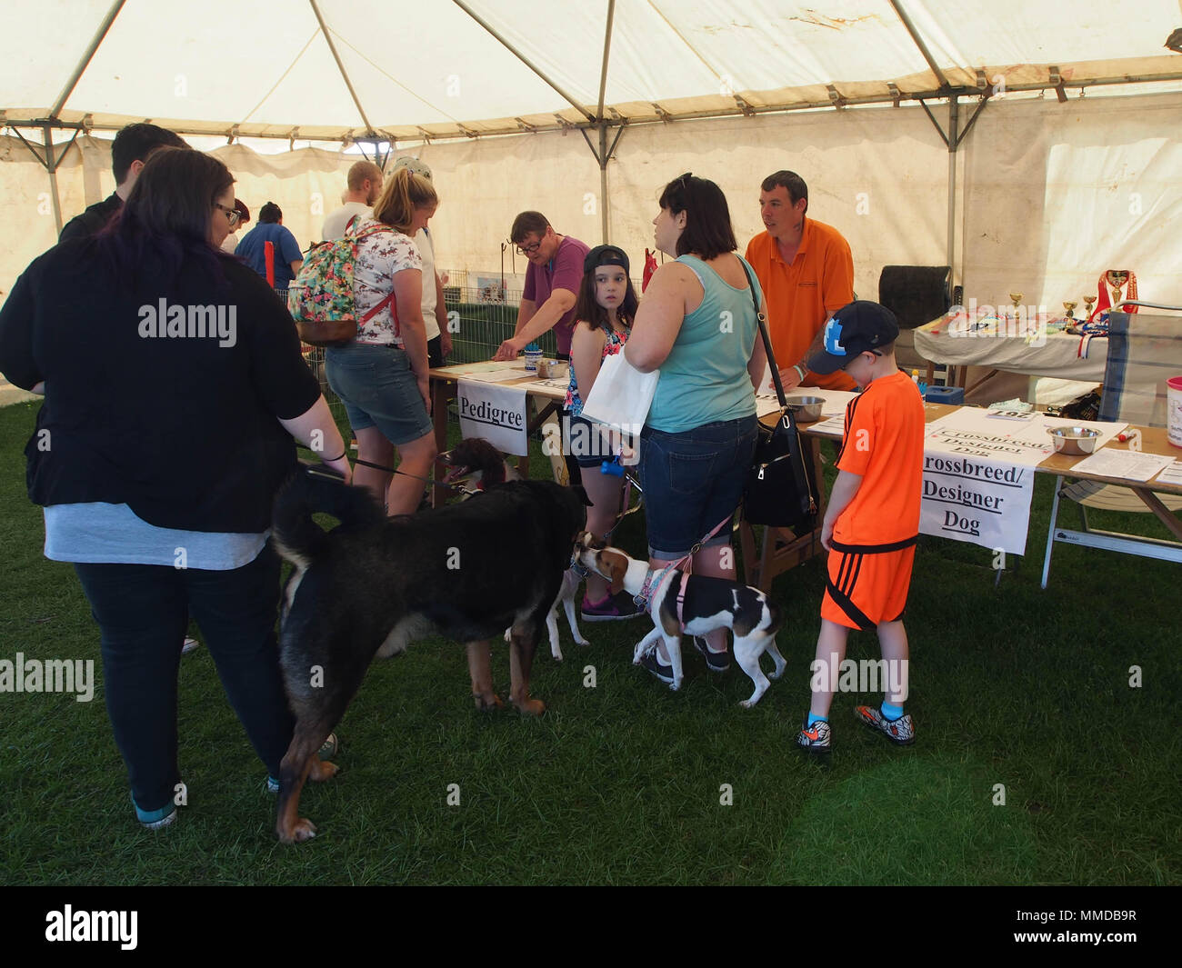 Dogs and their owners at the registration desk of a dog show Stock ...
