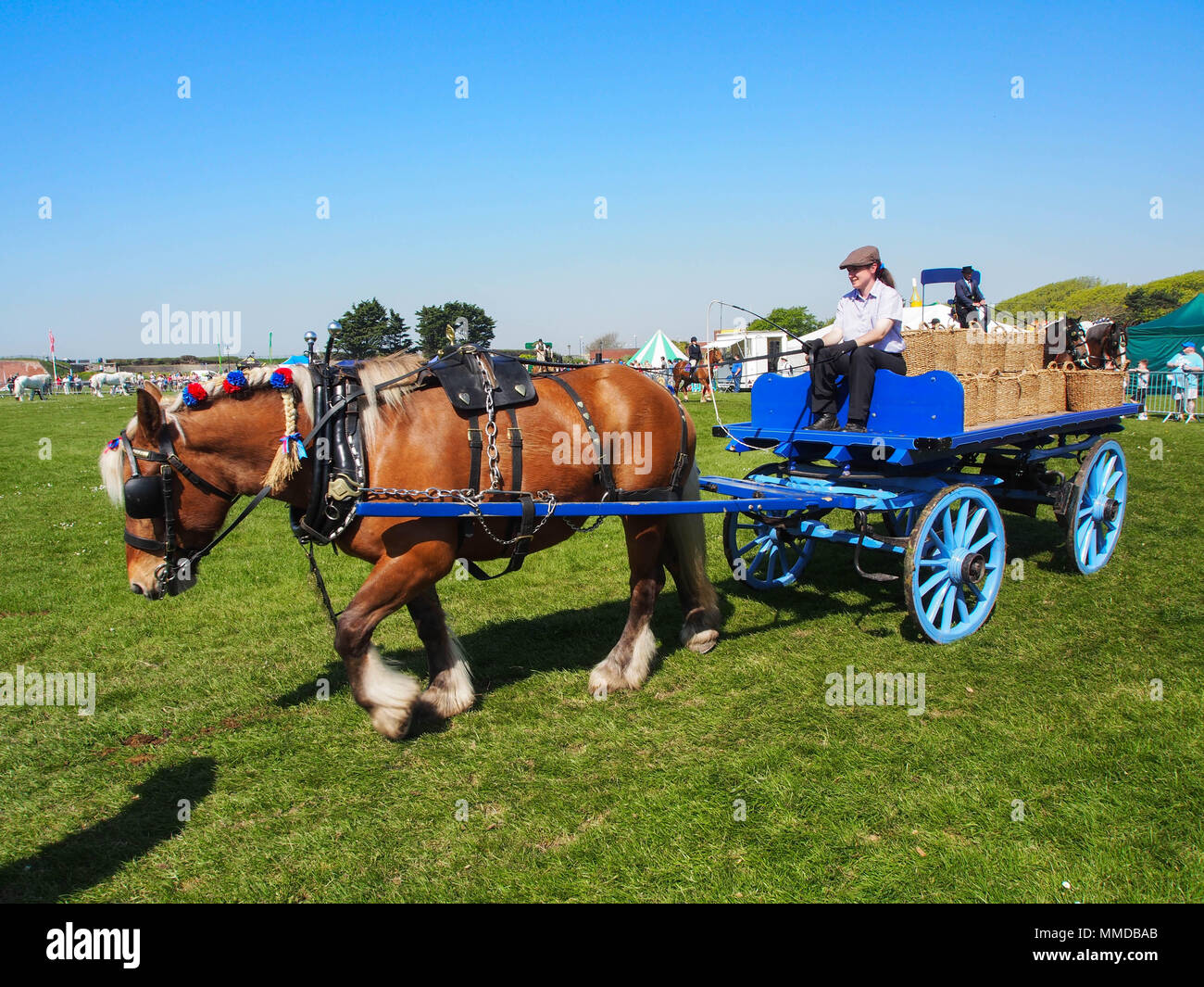 Coachman driving horse drawn carriage hi-res stock photography and ...