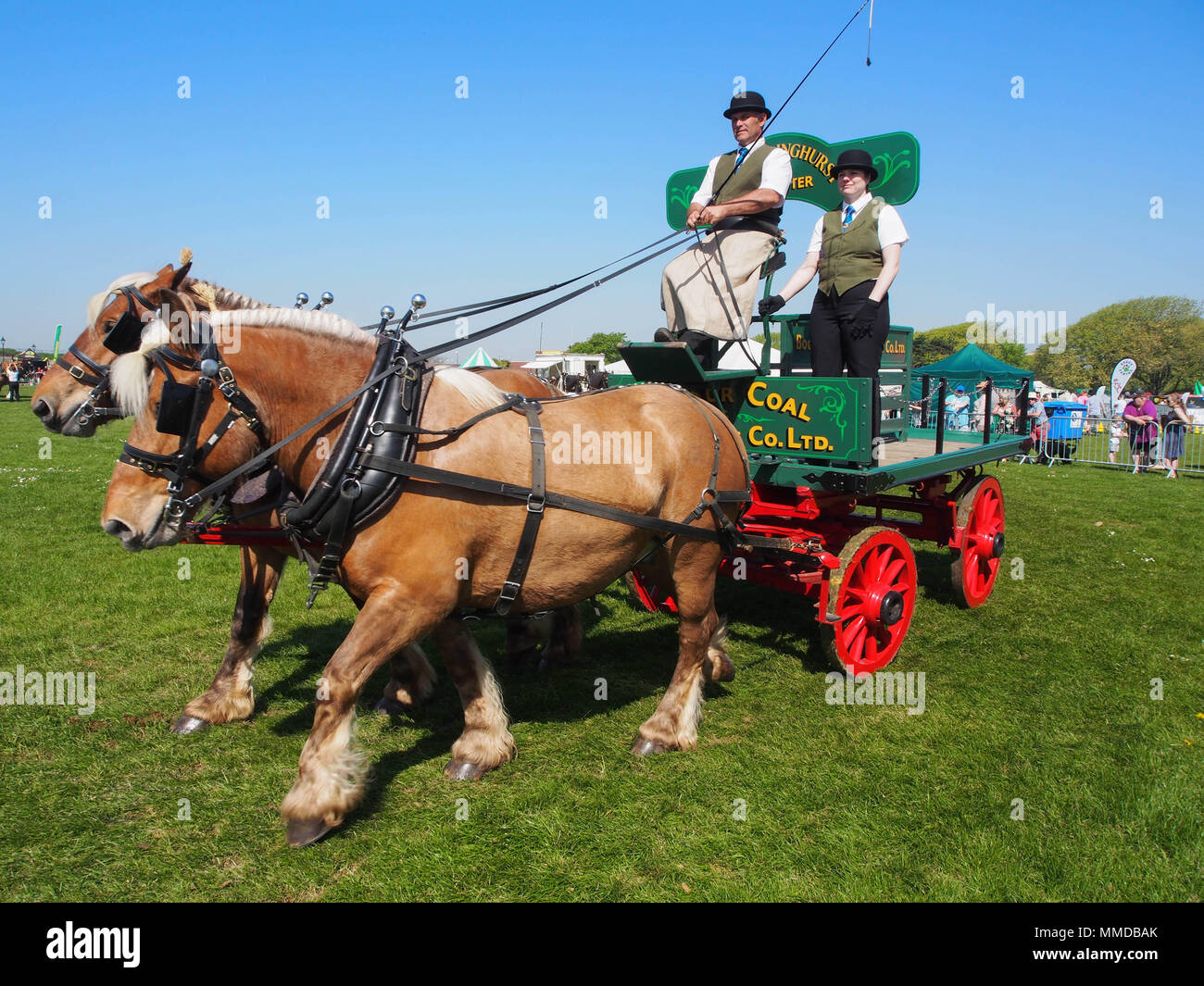 Shire horses pulling a carriage hi-res stock photography and images - Alamy