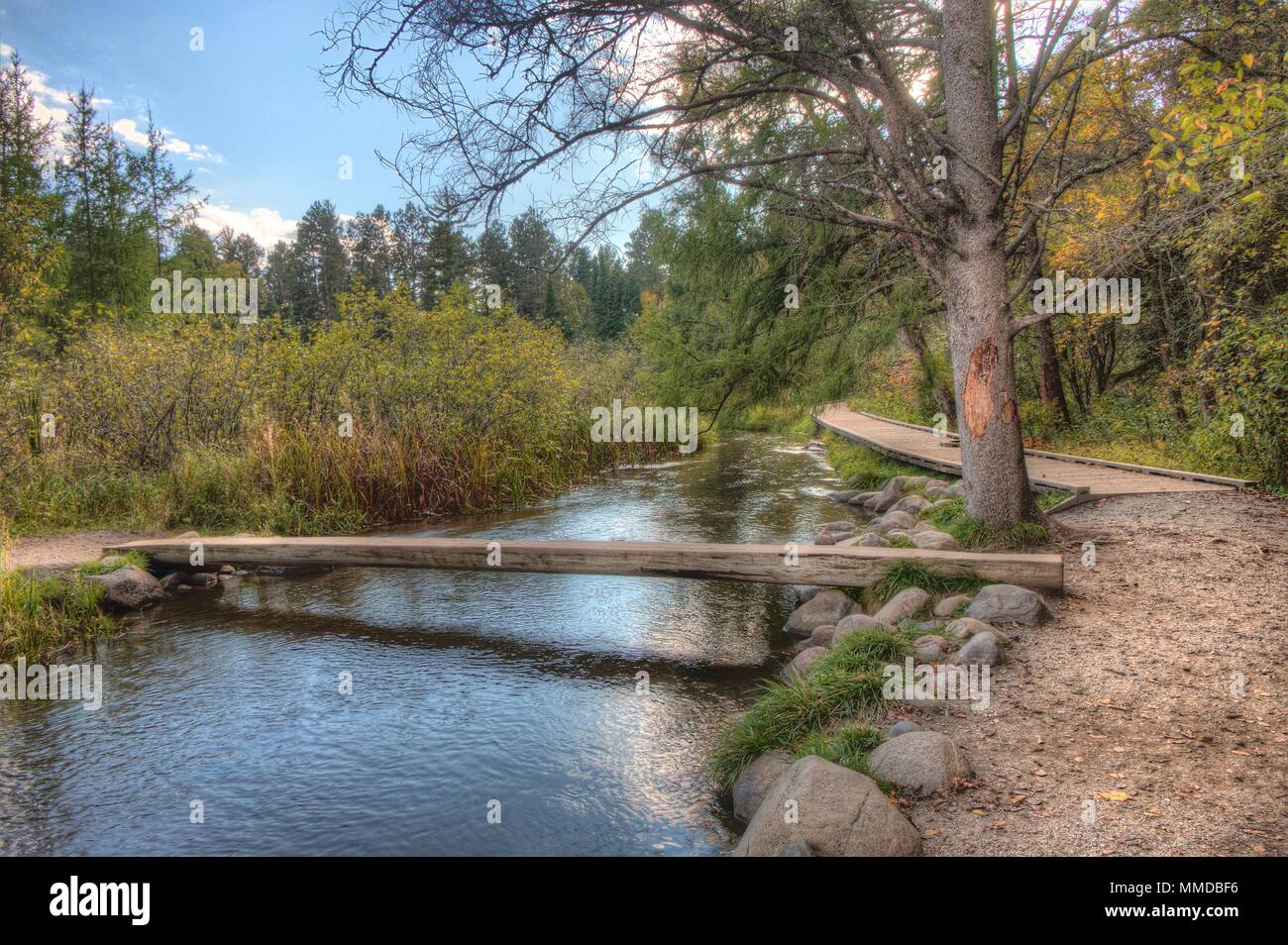 Itasca State Park contains the Headwaters of the Mississippi River and ...