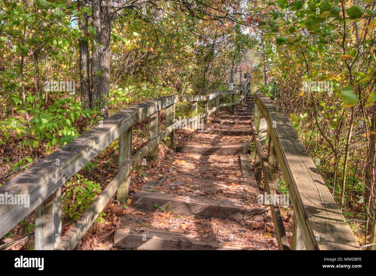 Itasca State Park contains the Headwaters of the Mississippi River and ...
