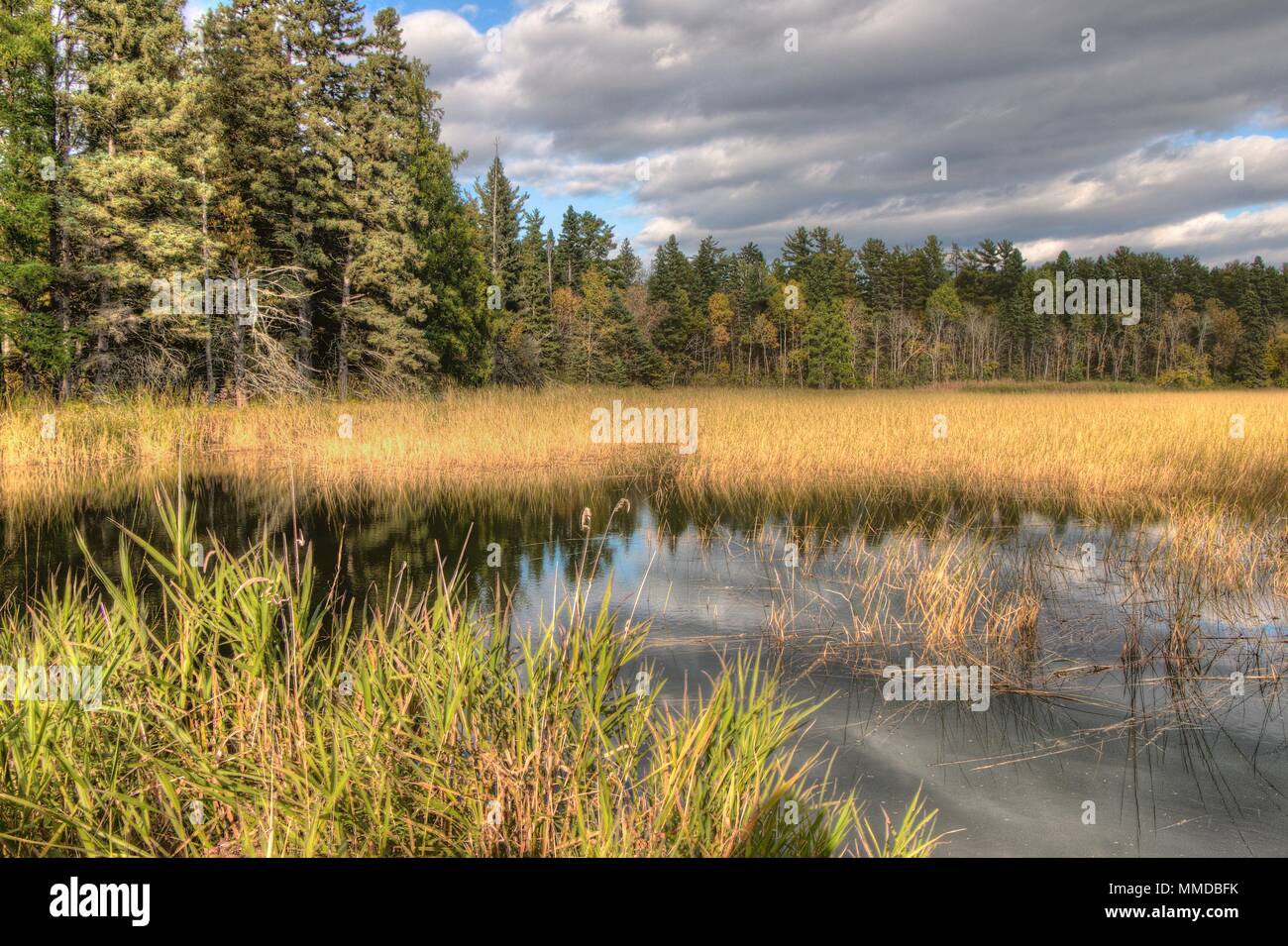 Itasca State Park contains the Headwaters of the Mississippi River and ...