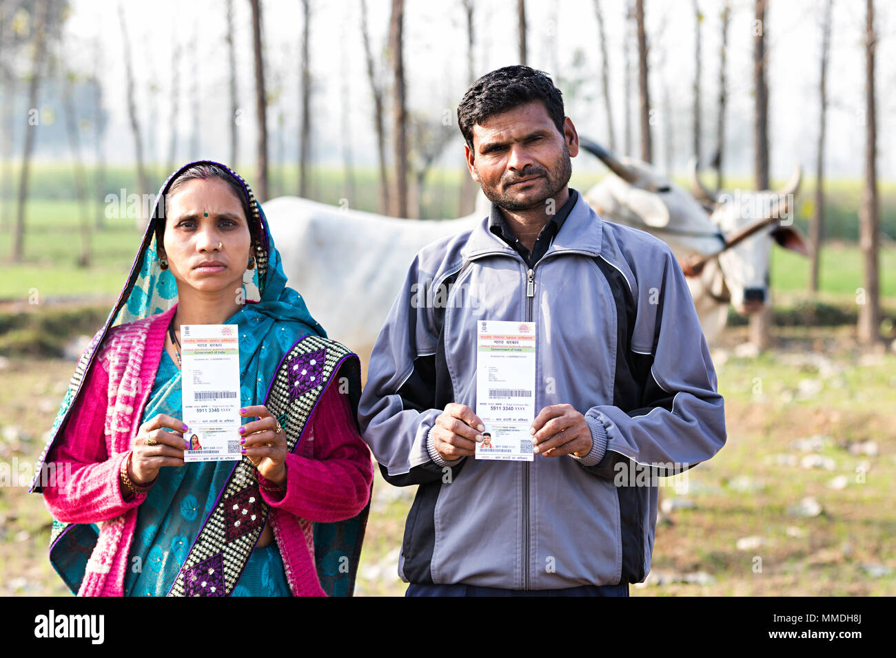 Rural Villager Couple Showing Aadhaar Card Government Identity Farm ...