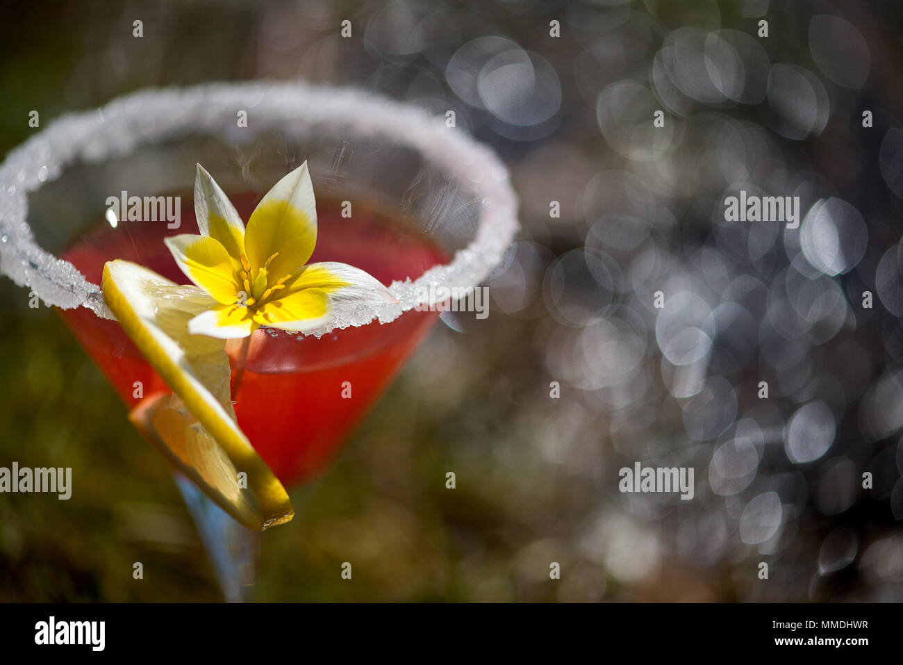 beautifully decorated alcoholic cocktail Stock Photo - Alamy