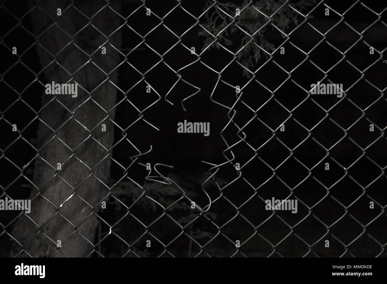 Ripped wire fence with black background Stock Photo - Alamy