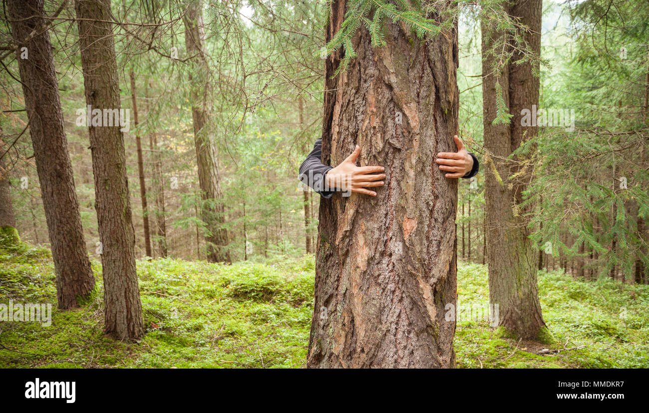 a boy hugging a tree in the woods Stock Photo - Alamy