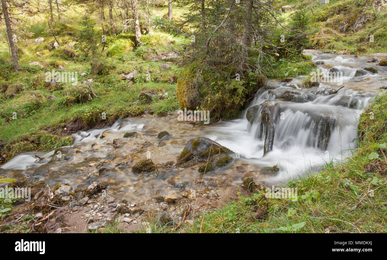 A stream flows in the forest, Italian Alps Stock Photo - Alamy