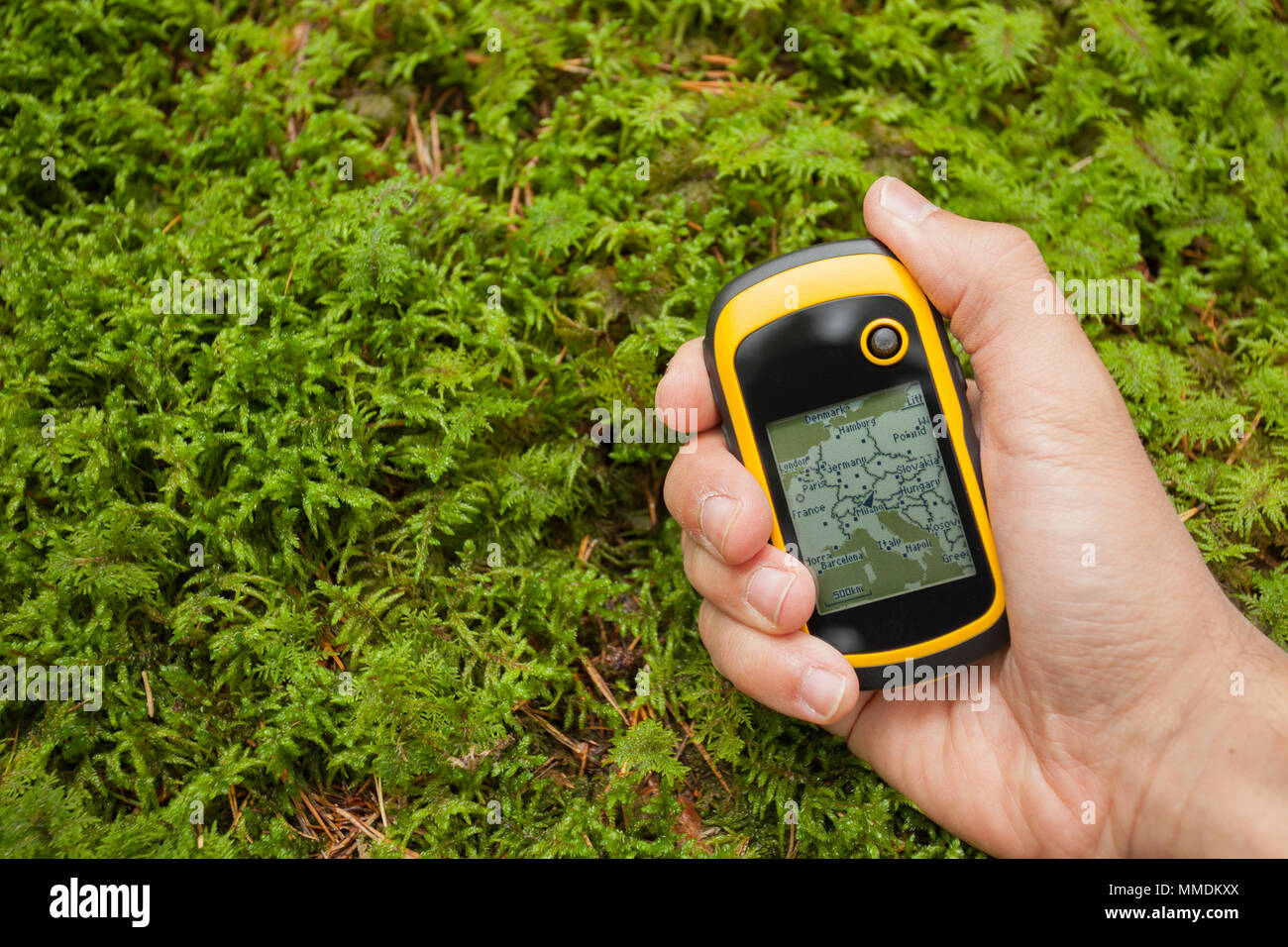 finding the right position in the forest with a gps Stock Photo - Alamy