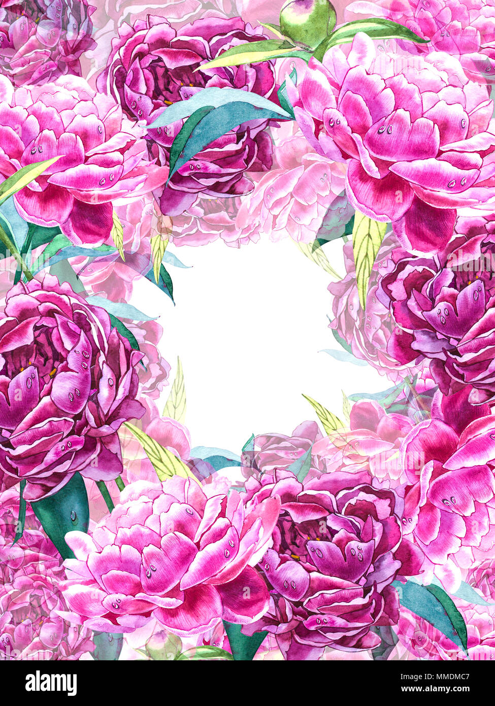 Natural pink peony background. Frame of red and pink peony, watercolor ...