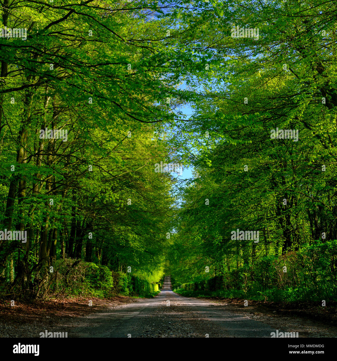 Side lining hi-res stock photography and images - Alamy