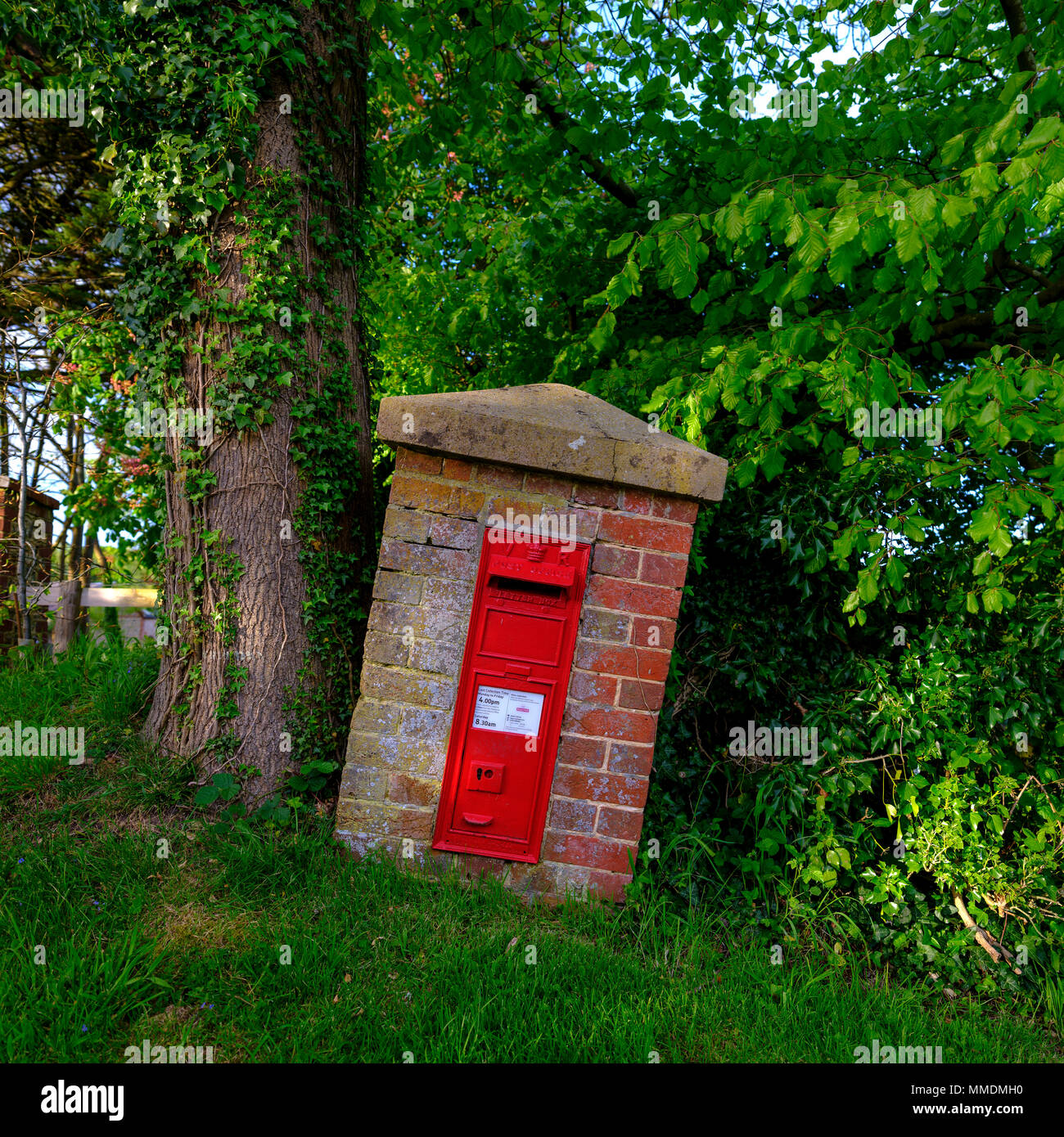 Red Knots Uk High Resolution Stock Photography and Images - Alamy