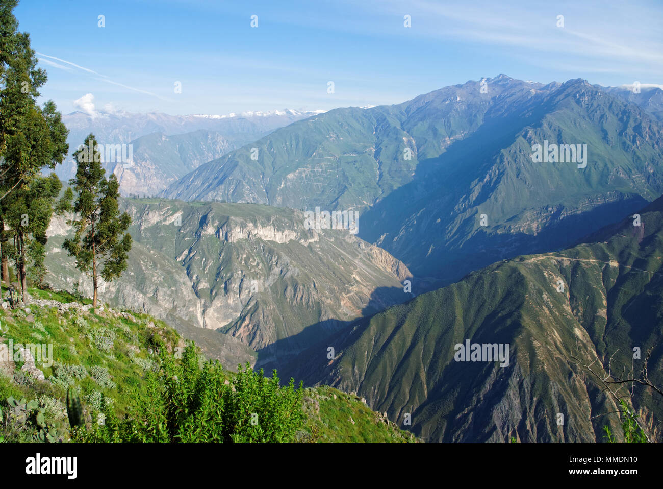 Peru colca canyon llamas hi-res stock photography and images - Alamy