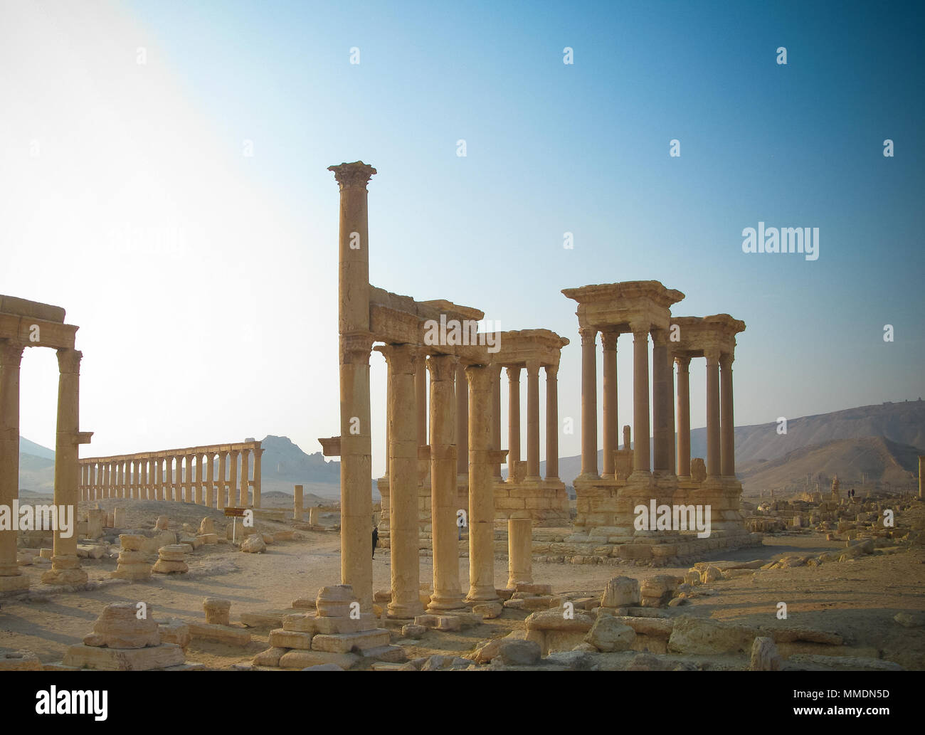 Panorama of Palmyra columns, Tetrapylon and ancient city, destroyed now ...