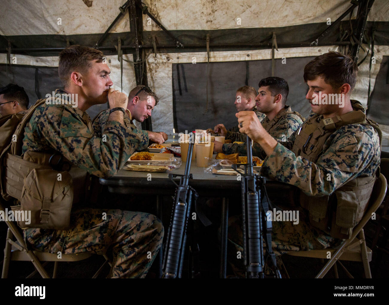 U.S. Marines eat at a field mess during Bold Alligator on Marine ...