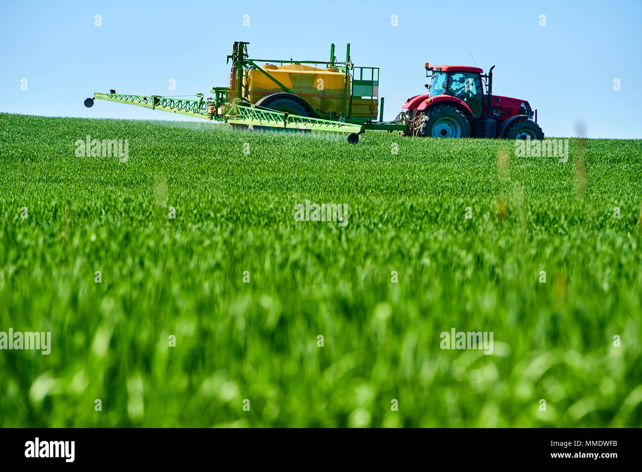 Tractor spraying wheat field with sprayer Stock Photo - Alamy
