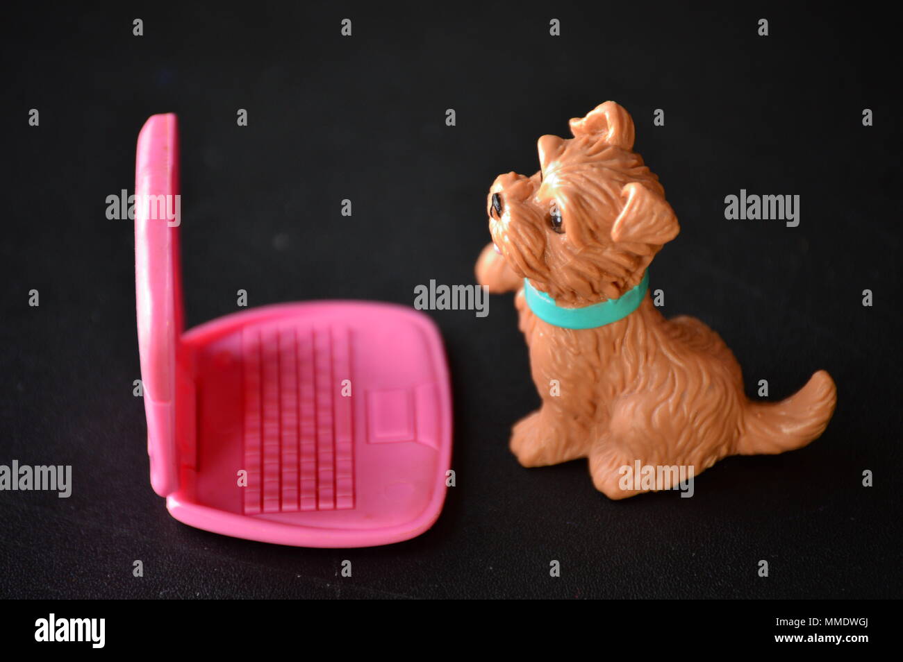 Pcs with pets hi-res stock photography and images - Alamy