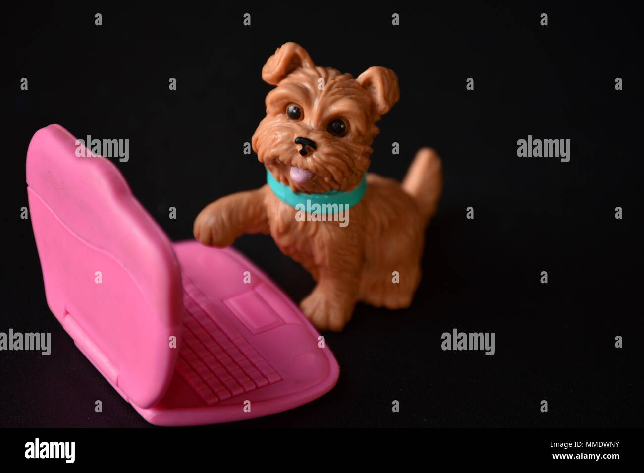 Brown dog on laptop Stock Photo - Alamy