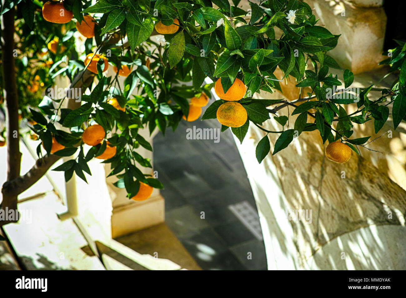 Fruit Arch High Resolution Stock Photography and Images - Alamy