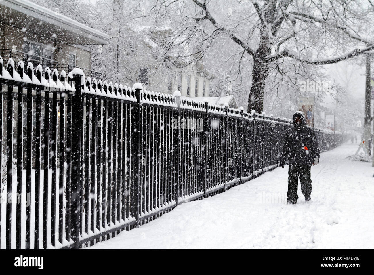 Man walking in blizzard hi-res stock photography and images - Alamy