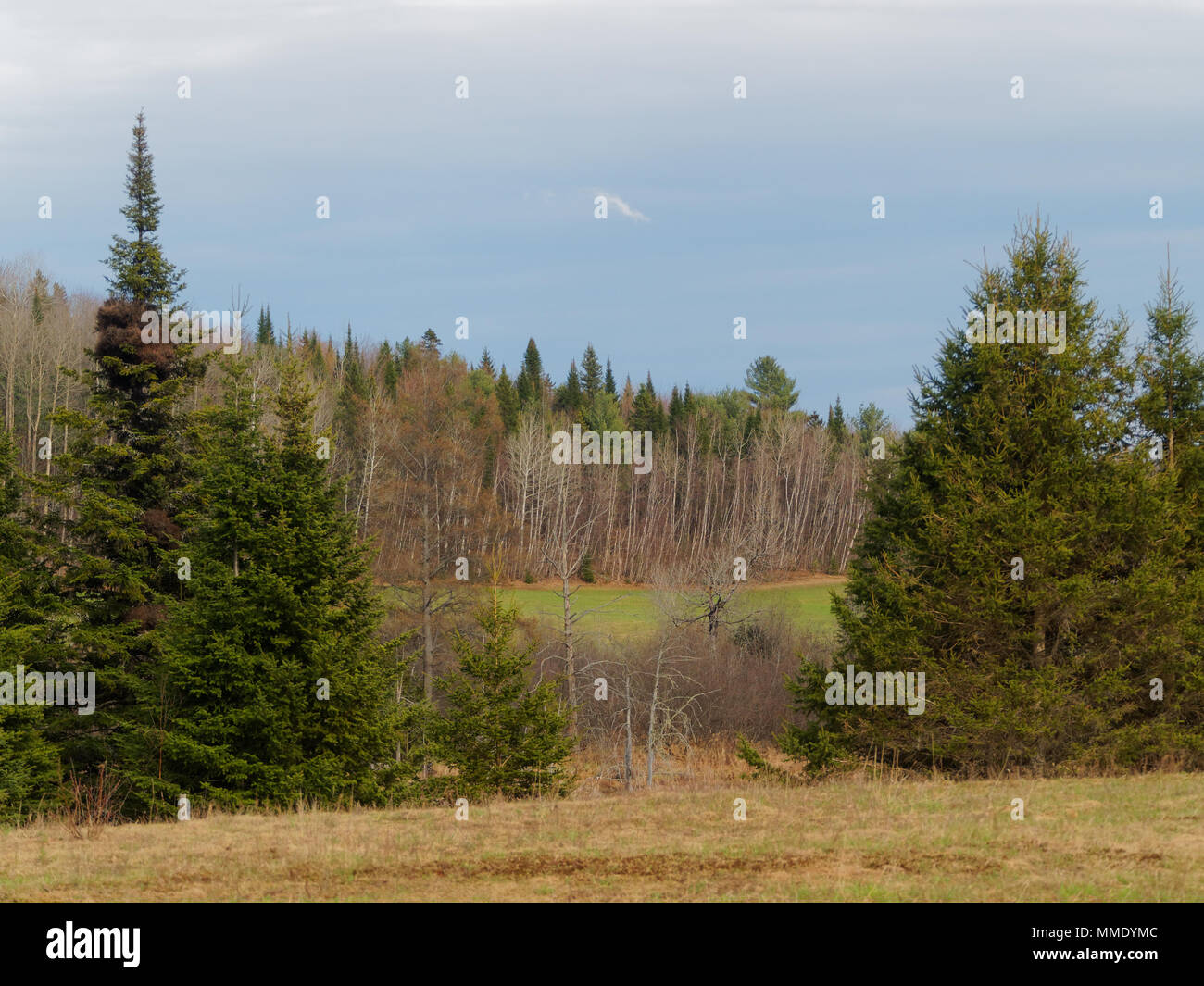 Quebec landscape spring hi-res stock photography and images - Alamy