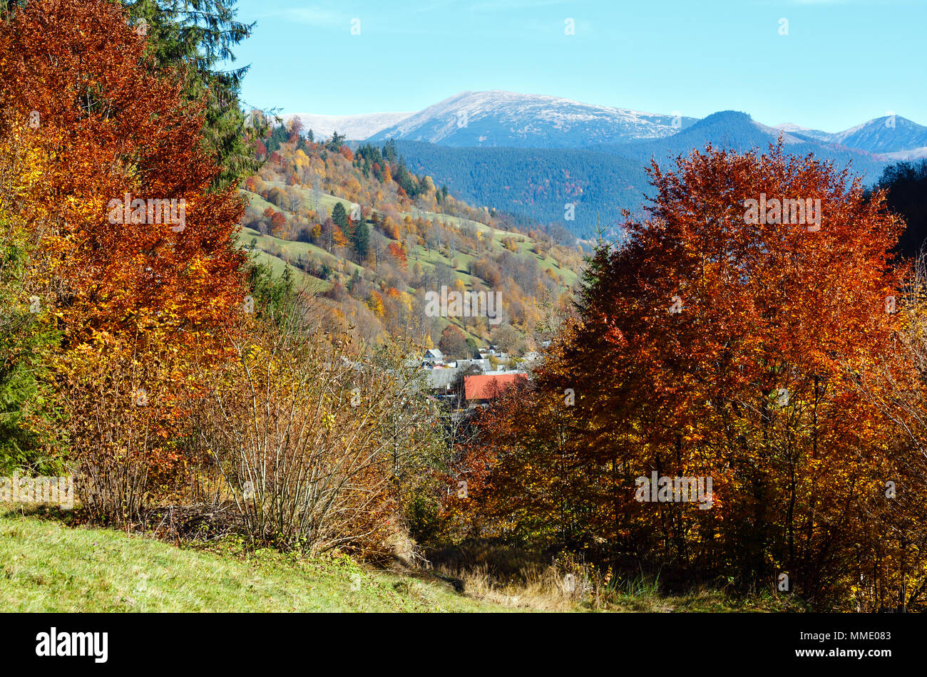 Autumn Carpathian Mountains landscape with multicolored yellow-orange ...