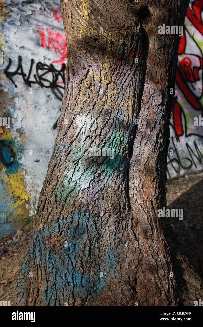 Graffiti spray-painted on a tree at The Graffiti Bridge at La Bragh ...