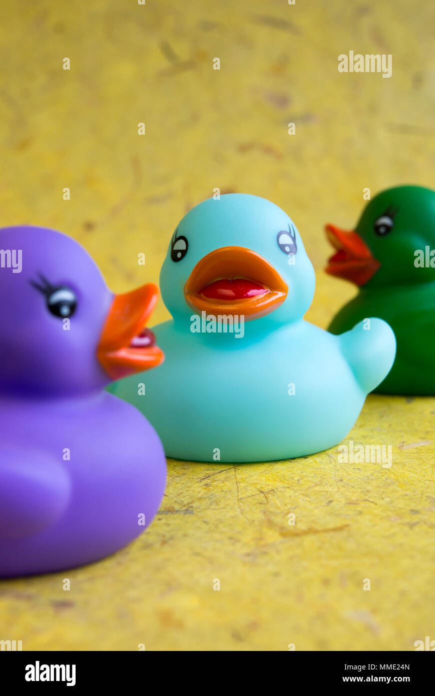 Still life of three colourful rubber ducks Stock Photo - Alamy