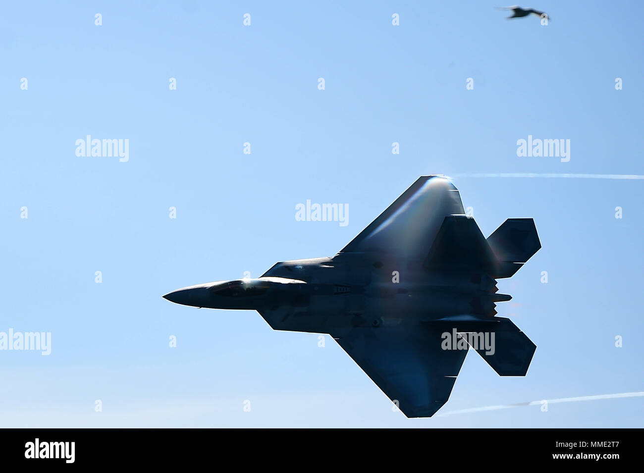 Toronto raptor hi-res stock photography and images - Alamy