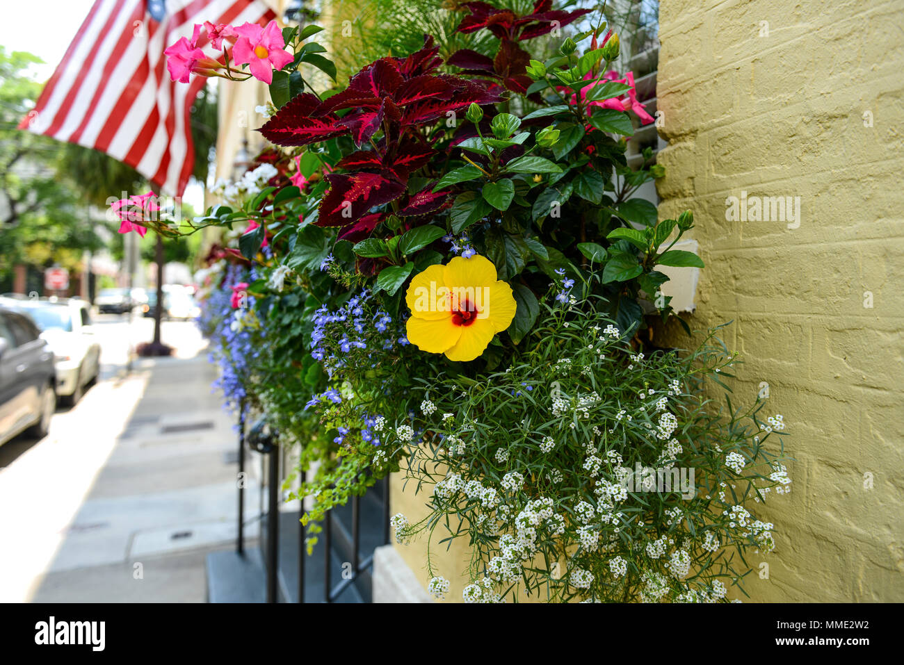 Street flower box hi-res stock photography and images - Alamy