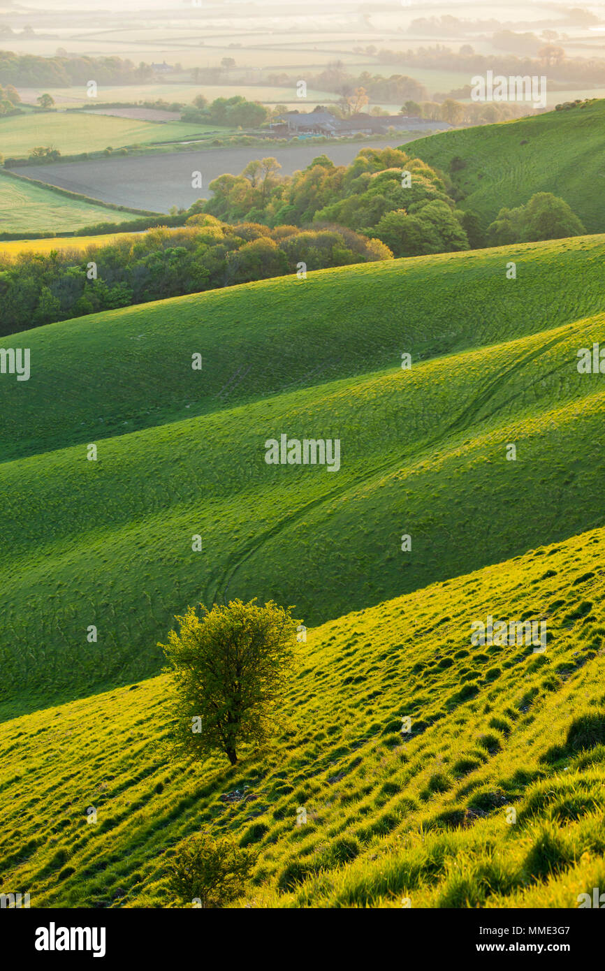 Sussex sunrise spring england hills hi-res stock photography and images ...