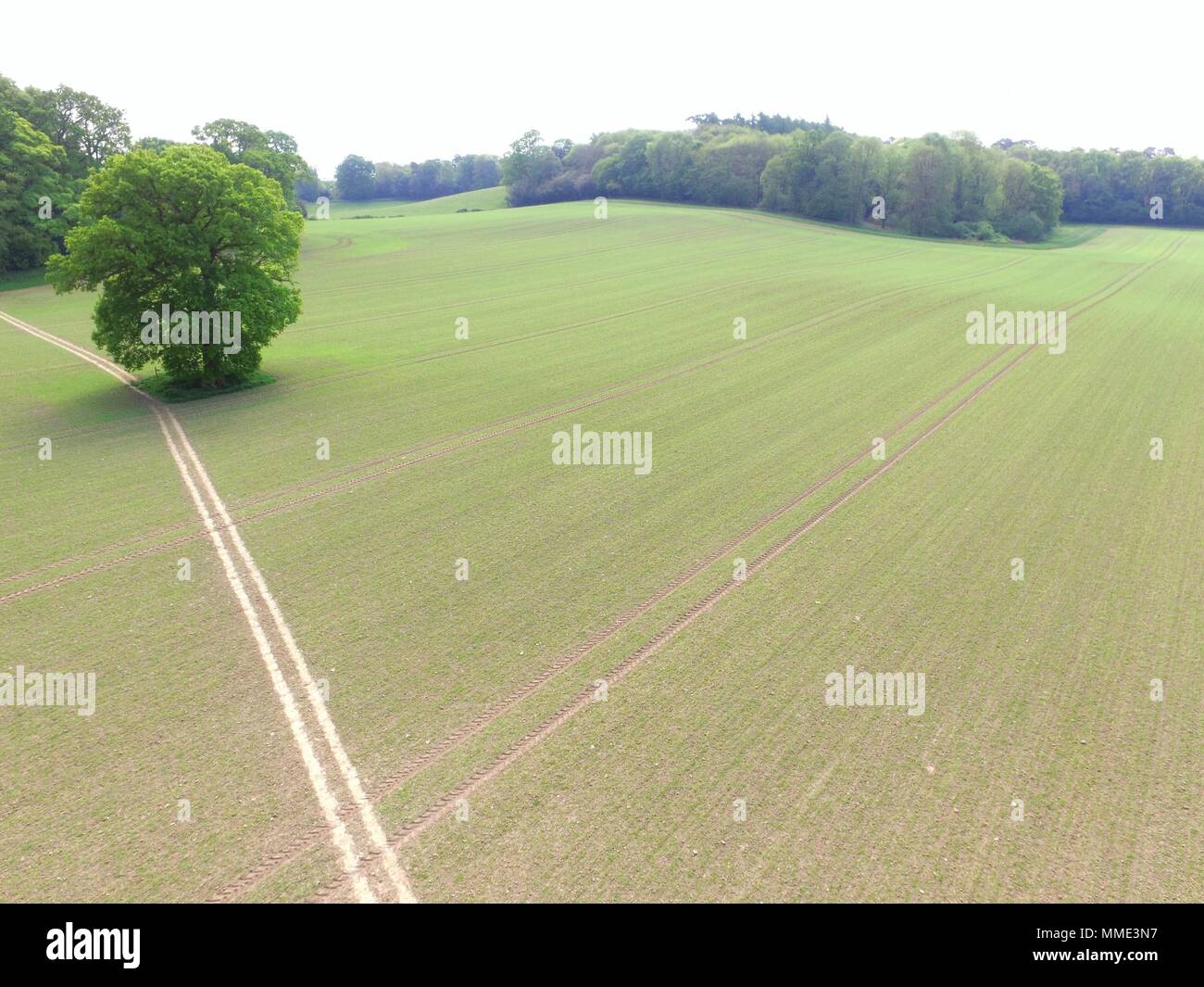 Aerial view of a public footpath in a crop field in West Sussex Stock ...