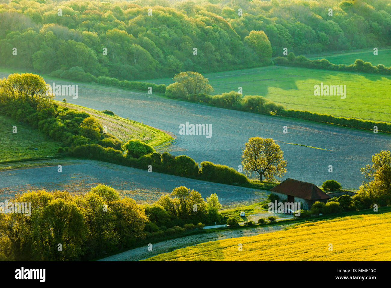 Sussex sunrise spring england hills hi-res stock photography and images ...